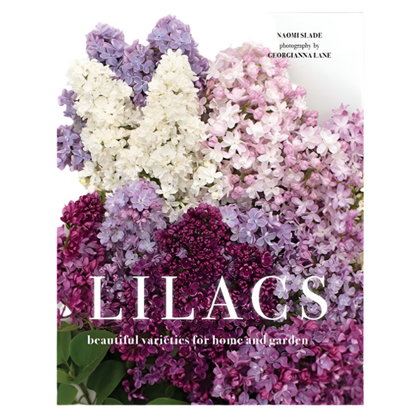 Lilacs: Beautiful Varieties For Home & Garden – Waiting On Martha