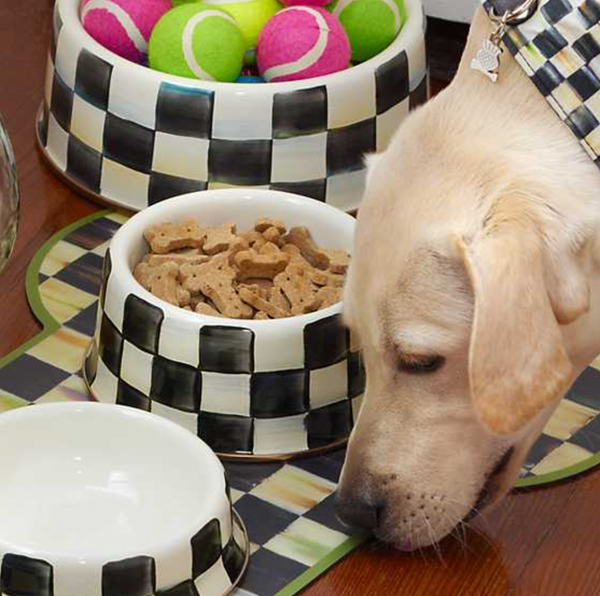 MacKenzie Childs Courtly Check Enamel Pet Dish – Waiting On Martha